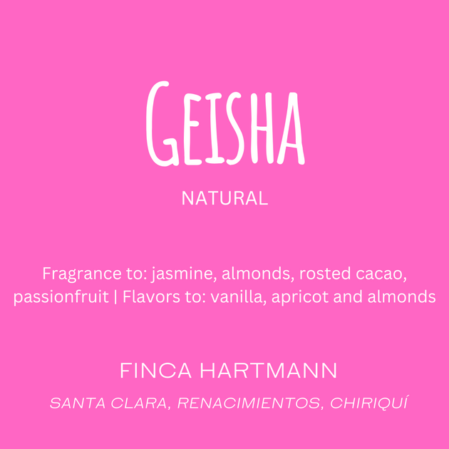 Geisha - Finca Hartmann | Cafe Monkey Fruit