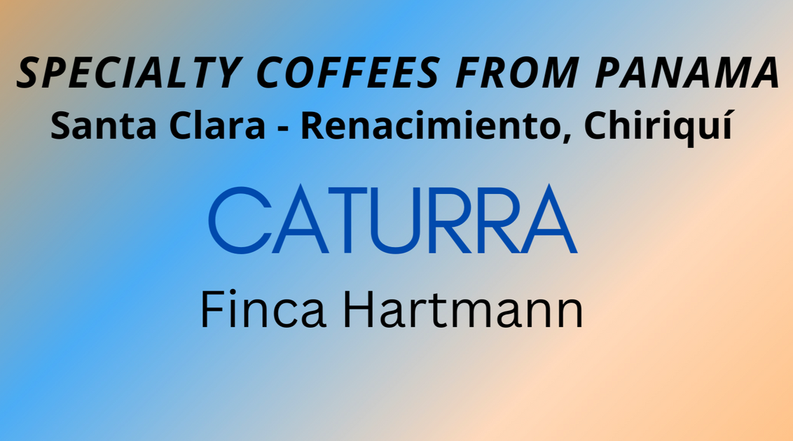 Caturra (Natural) Finca Hartmann | Cafe Monkey Fruit